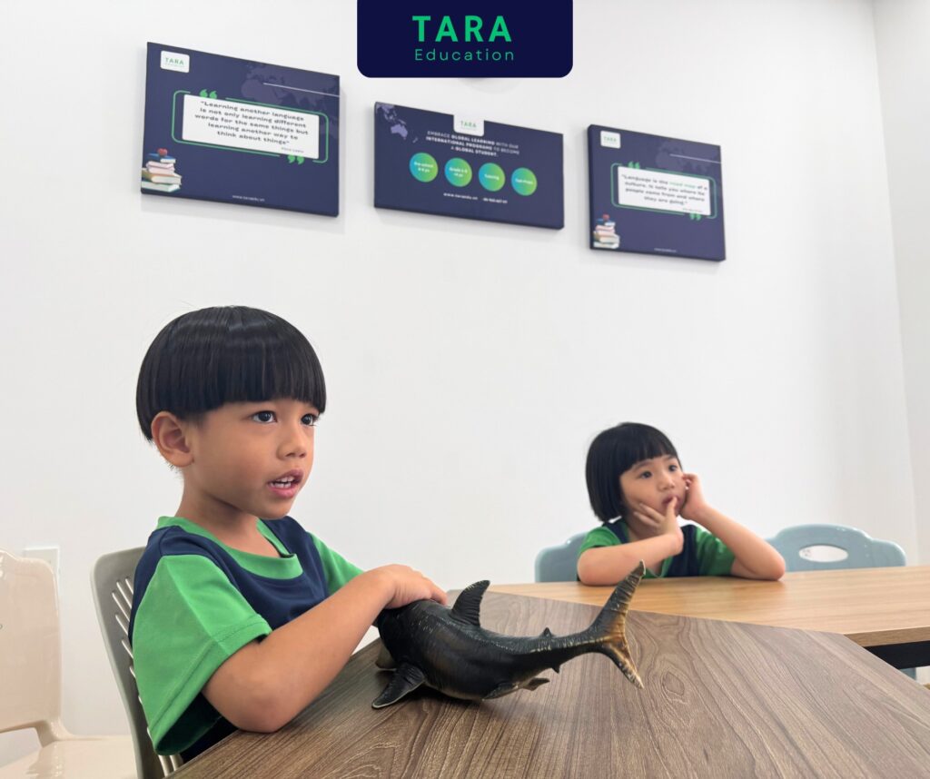 Trang Chủ - TARA Education